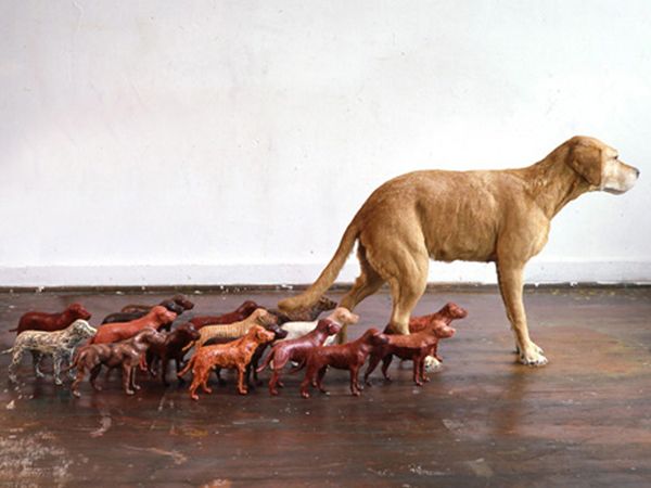 Merijn Bolink – Maarten Slagboom